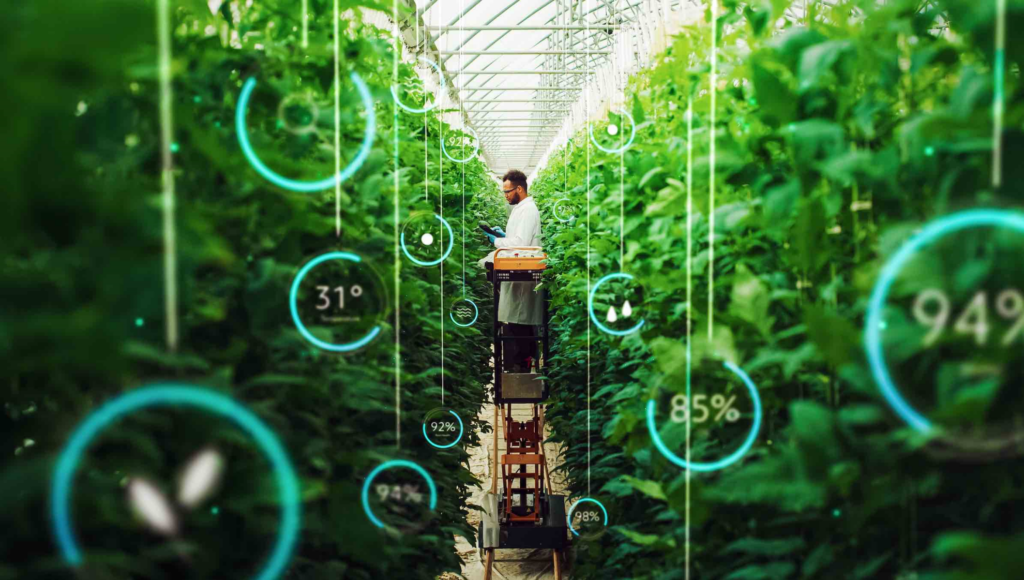 L’intelligence artificielle au service de l’agriculture - La Marne Agricole